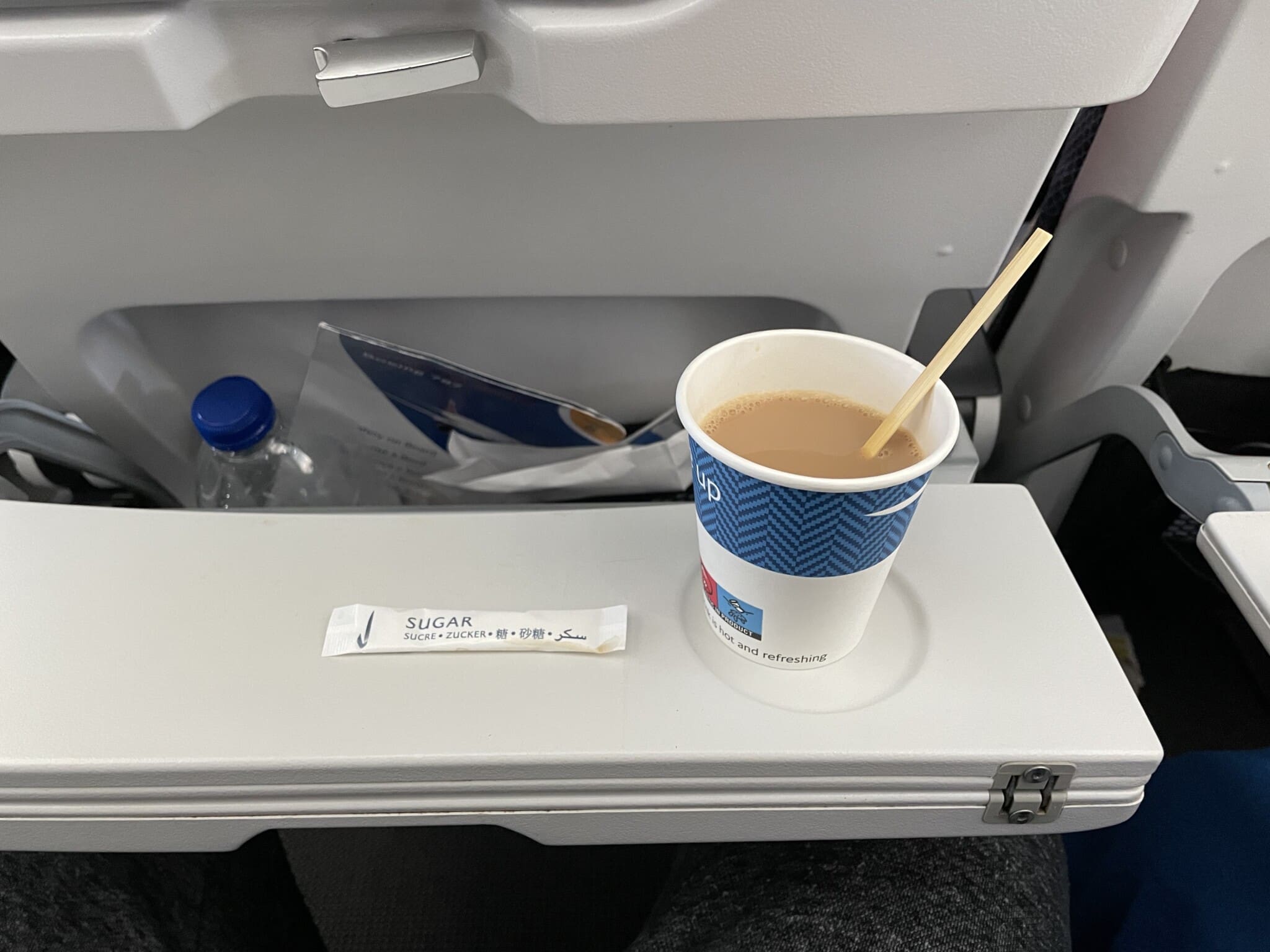 Review: British Airways 787 Economy Class (LHR-YUL) - The Alviator