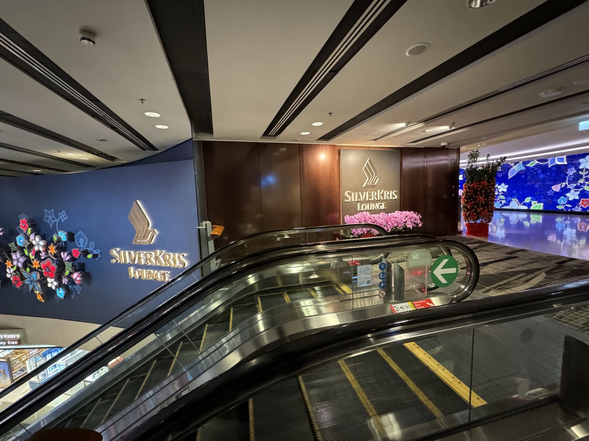 Review: Singapore Airlines Business Class Lounge T3 (SIN) - The Alviator